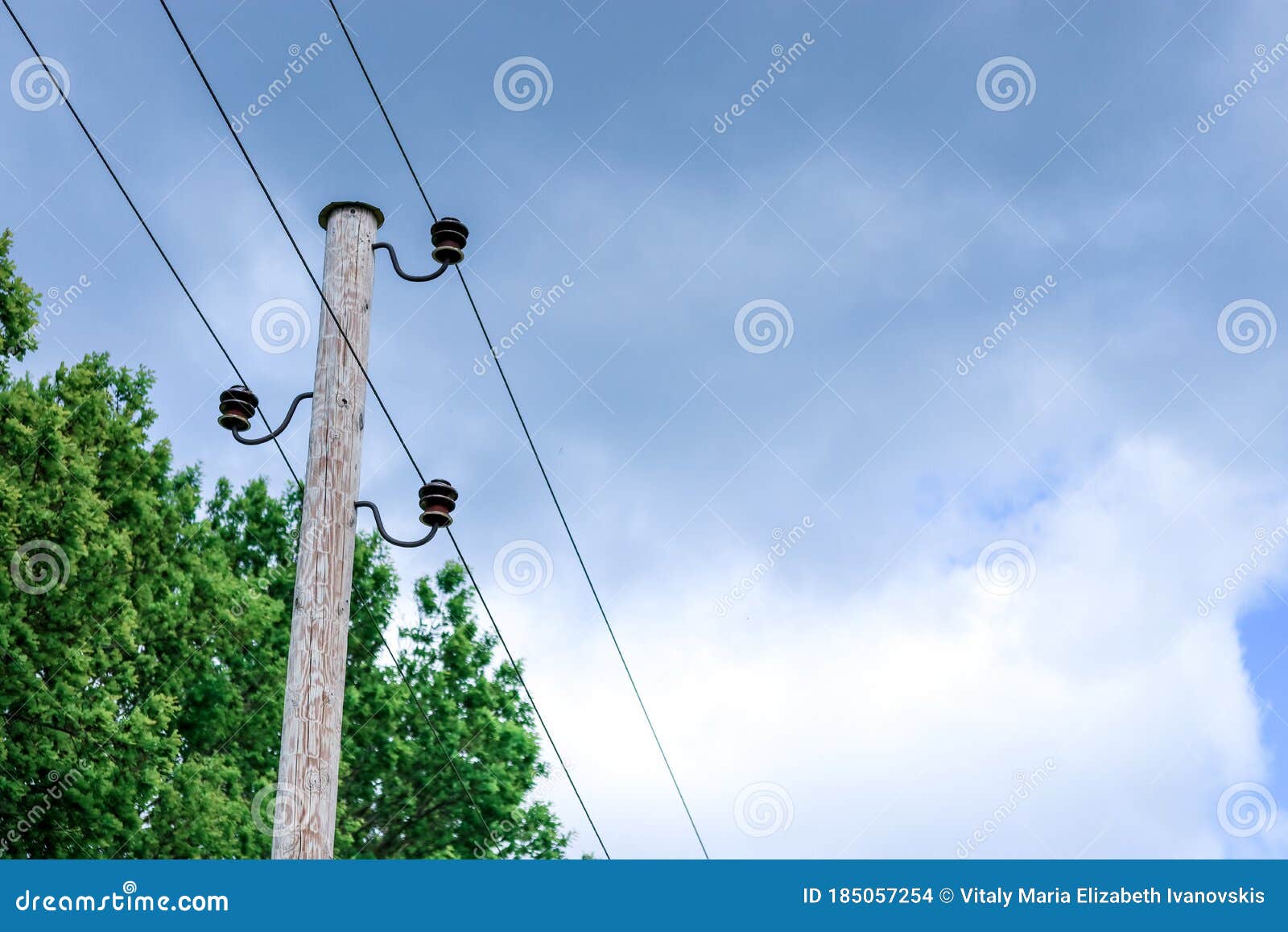 Power Line on a Blue Sky Background Stock Photo - Image of branch ...