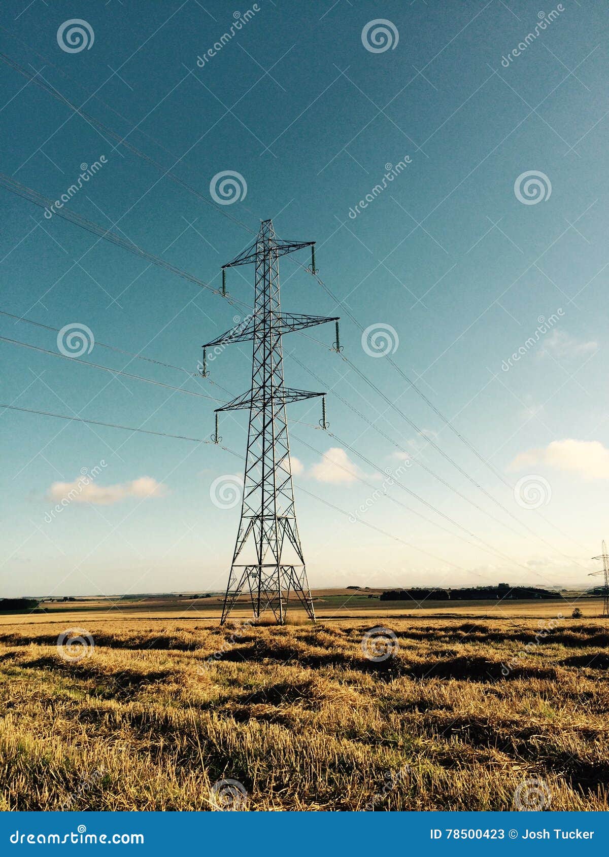 Power Line in a Corn Field after Harvest Stock Image - Image of harvest ...