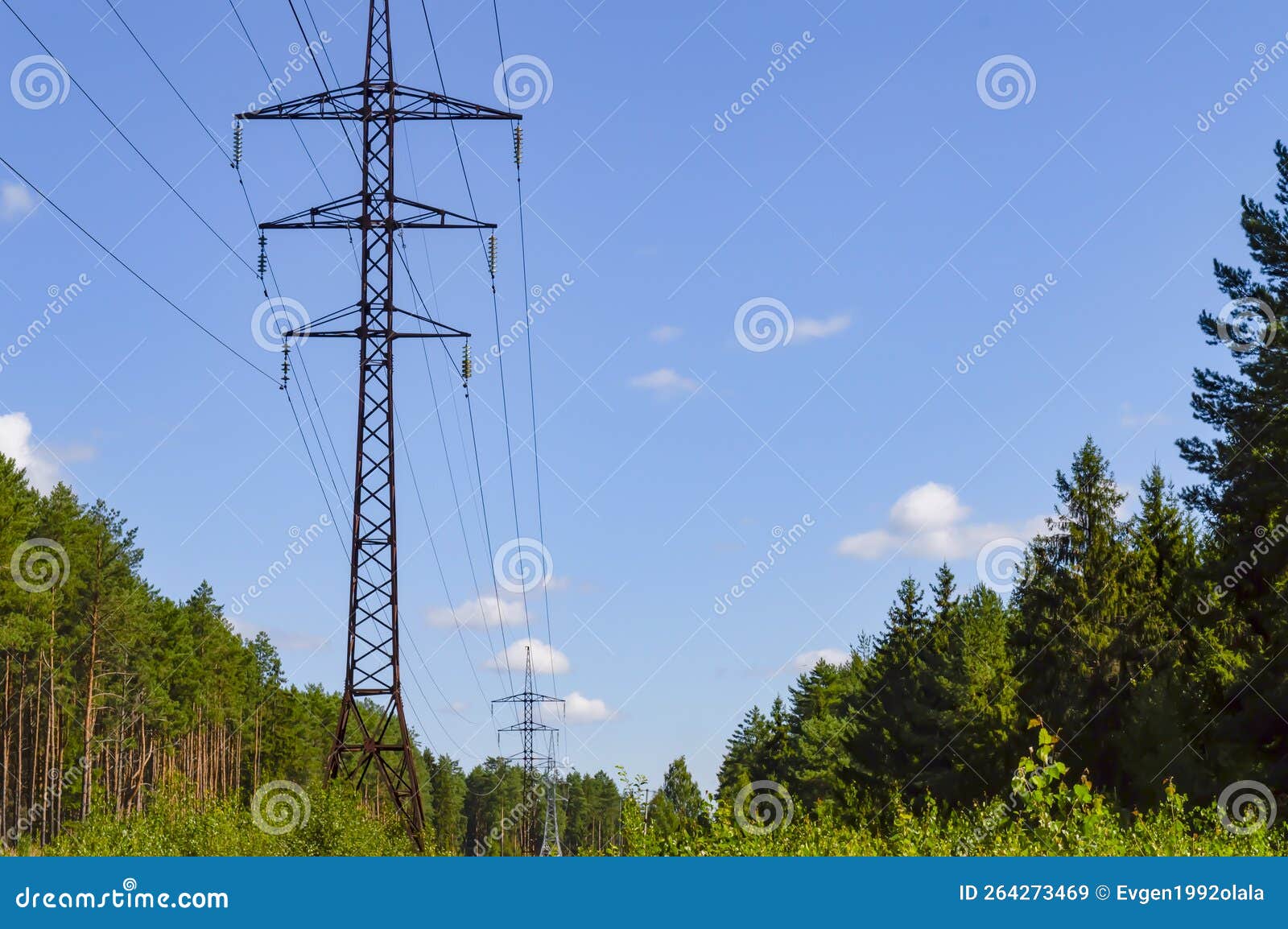 Power Line in the Forest. Clearing in the Summer Forest Stock Image ...