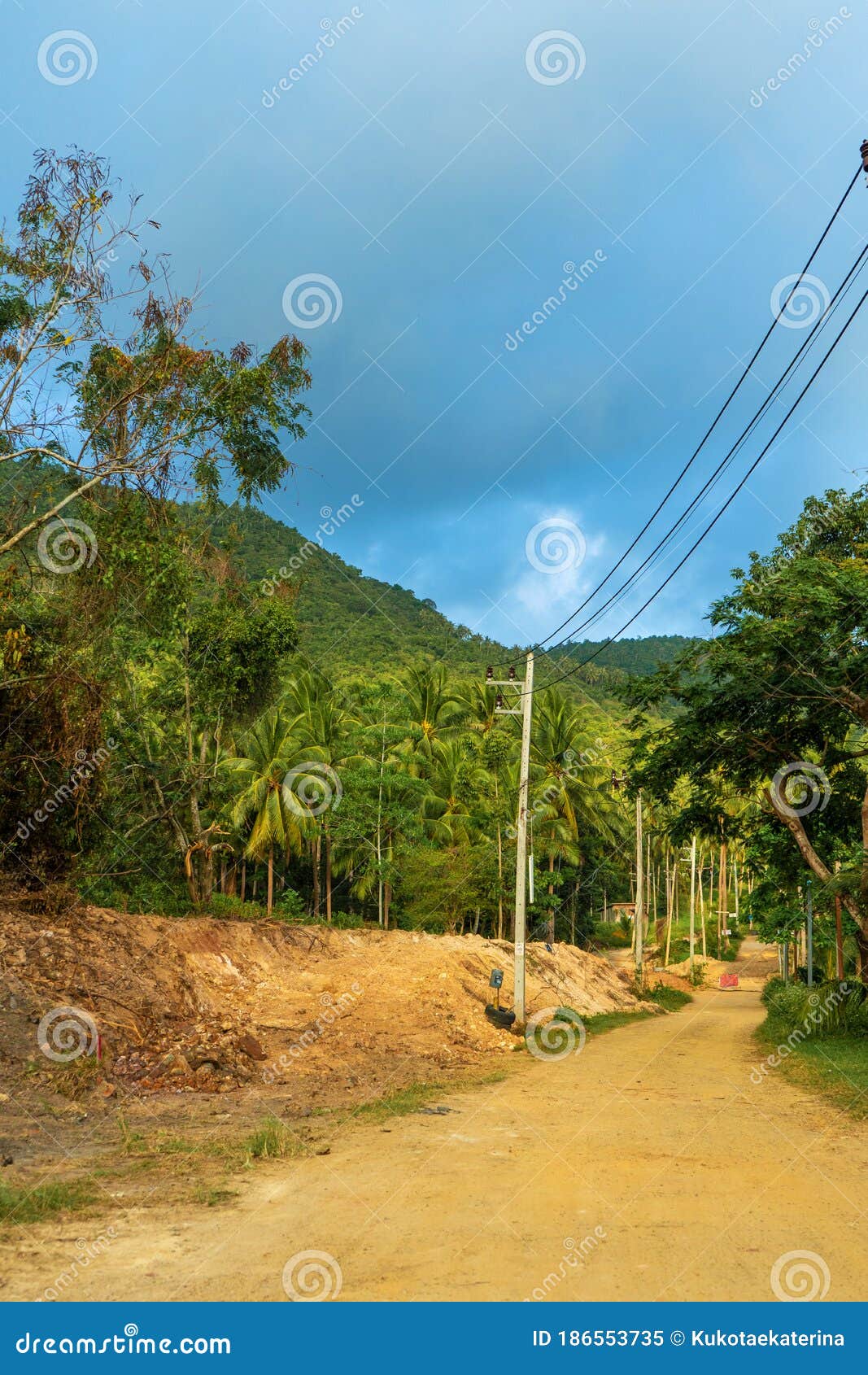 Power Line in the Jungle. Civilization Comes To the Wild Tropical ...