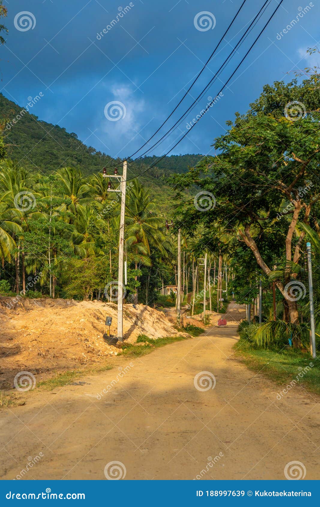 Power Line in the Jungle. Civilization Comes To the Wild Tropical ...