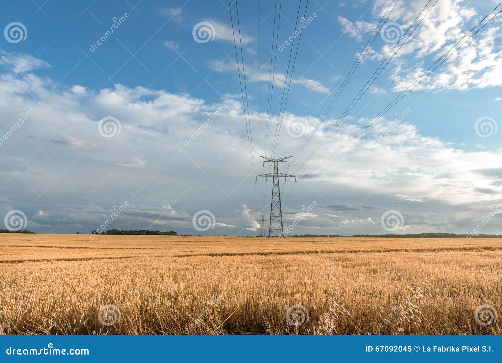 Power line over fields stock image. Image of crop, outdoor - 67092045