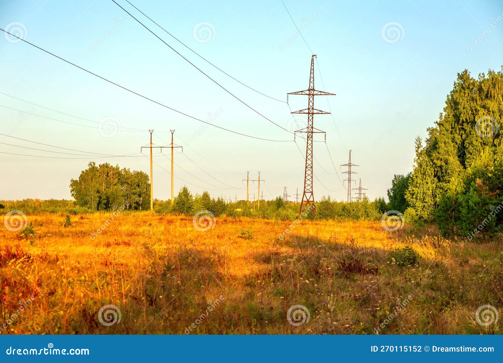 Power Line Passes through a Clearing in the Forest Stock Photo - Image ...