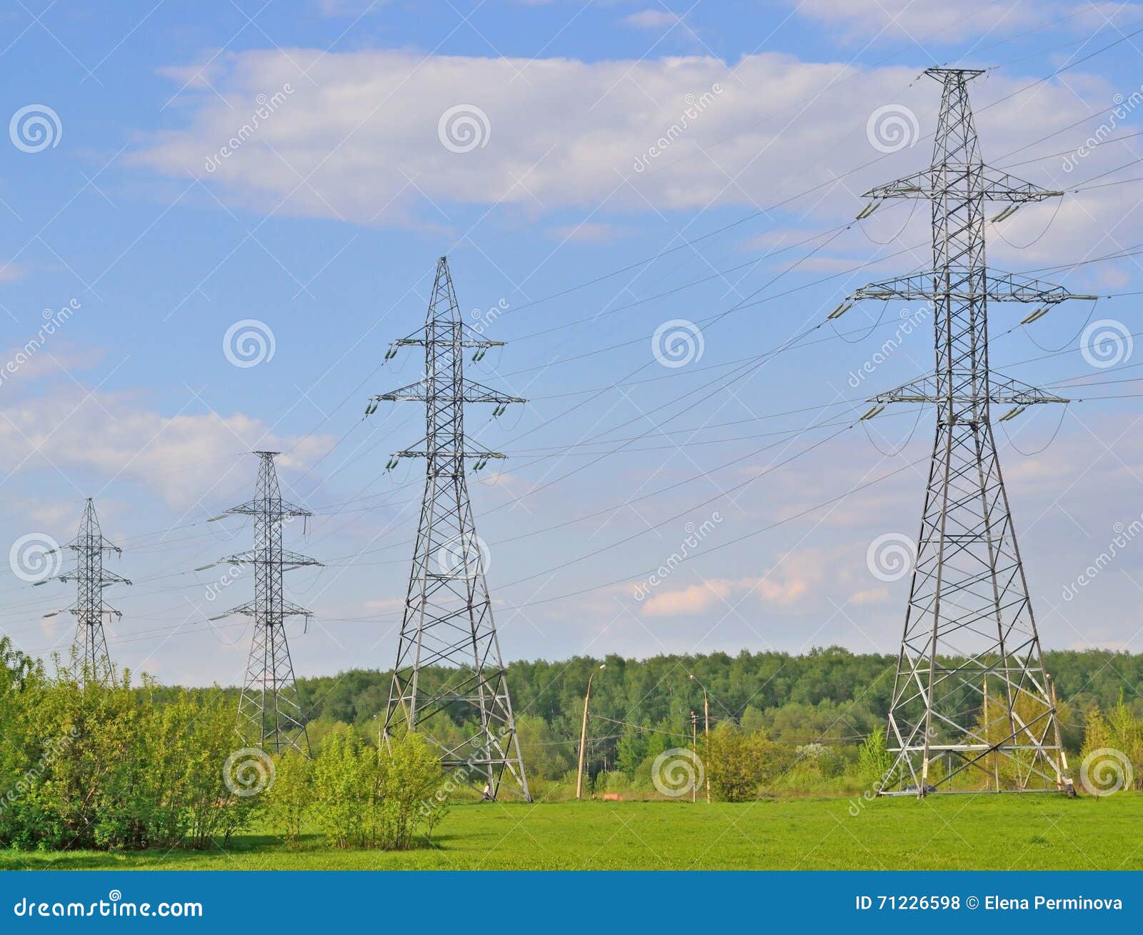Power Line Passes through the Forest Stock Photo - Image of passes ...
