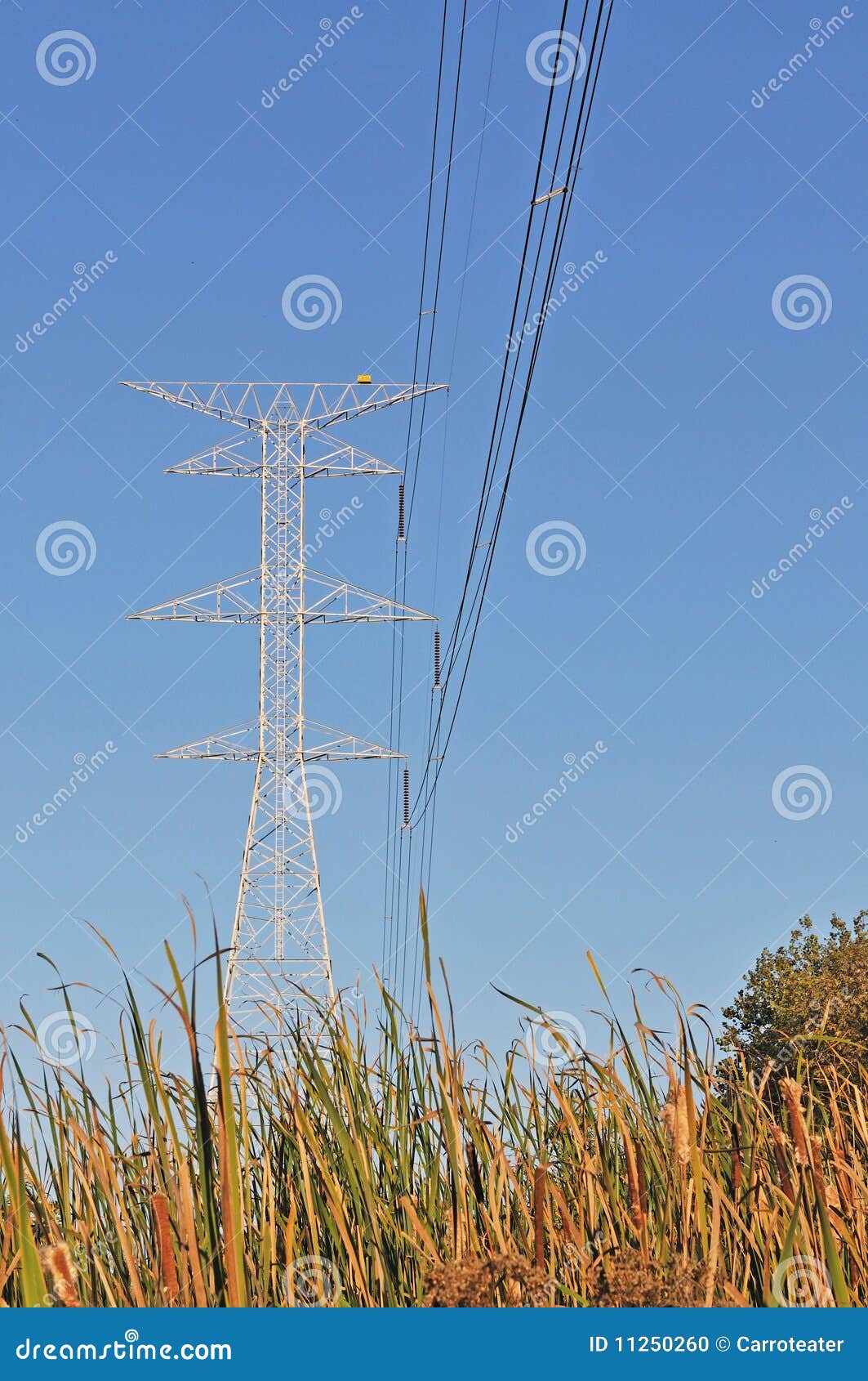 Power line pole stock photo. Image of environment, distribution - 11250260
