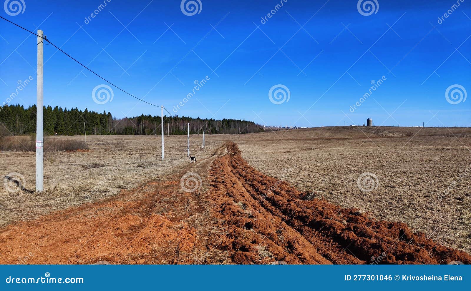 Power Line Pole on a Blue Sky Background Stock Photo - Image of pole ...