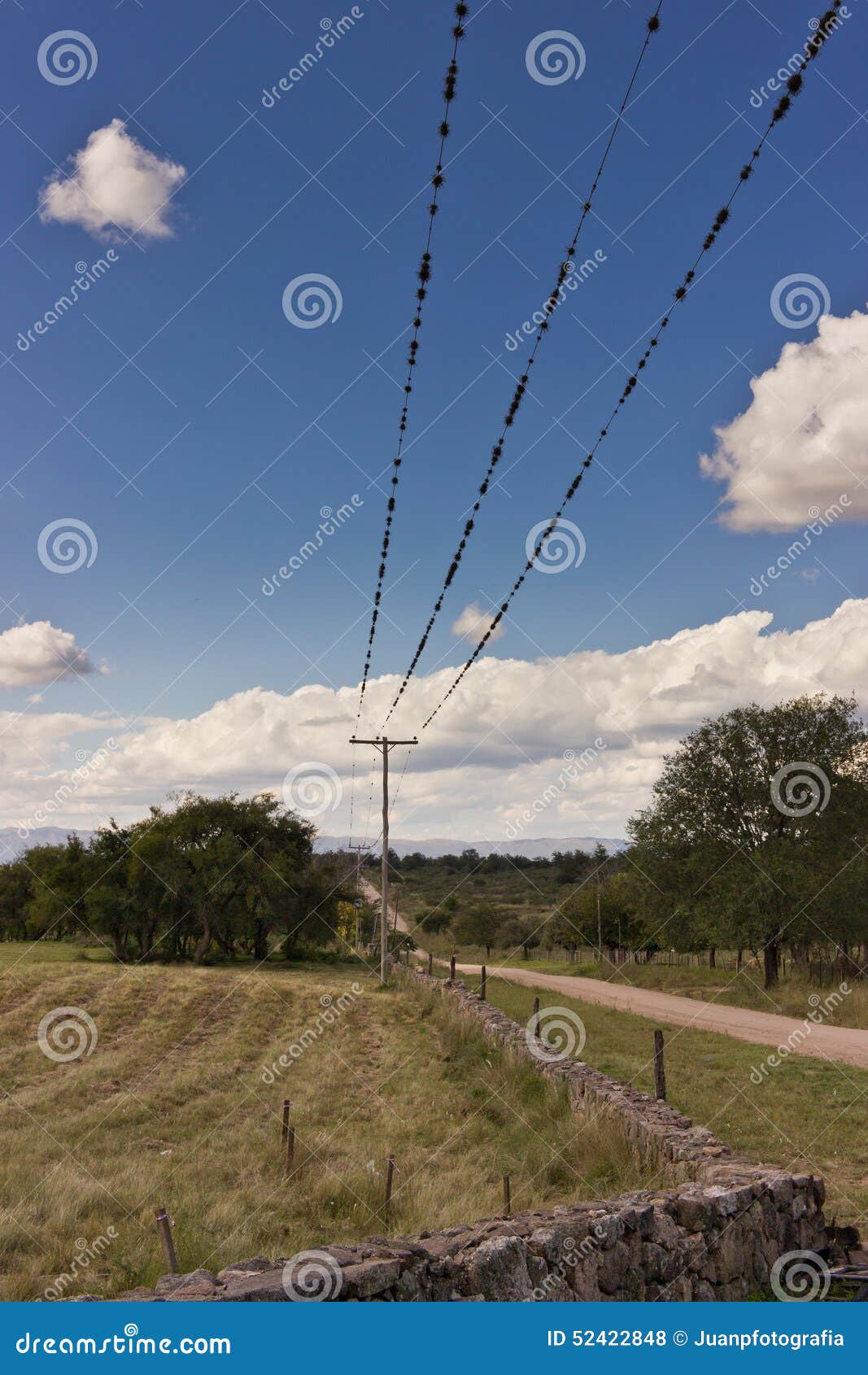 Power line pole stock photo. Image of current, power - 52422848