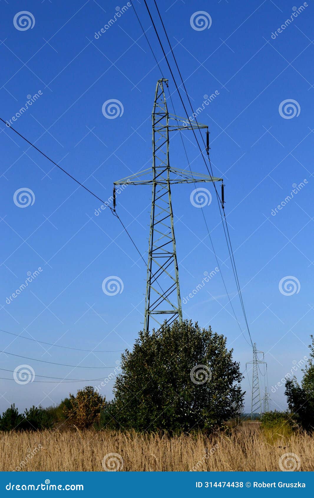 Power line pole stock photo. Image of power, wiring - 314474438