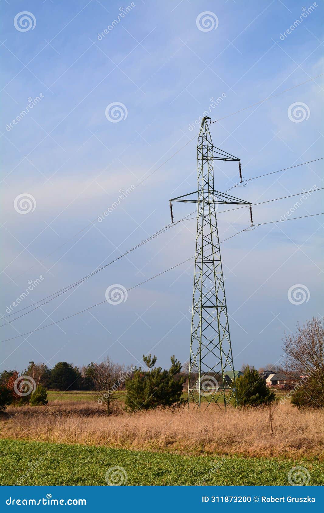 Power line pole stock photo. Image of engineering, industry - 311873200