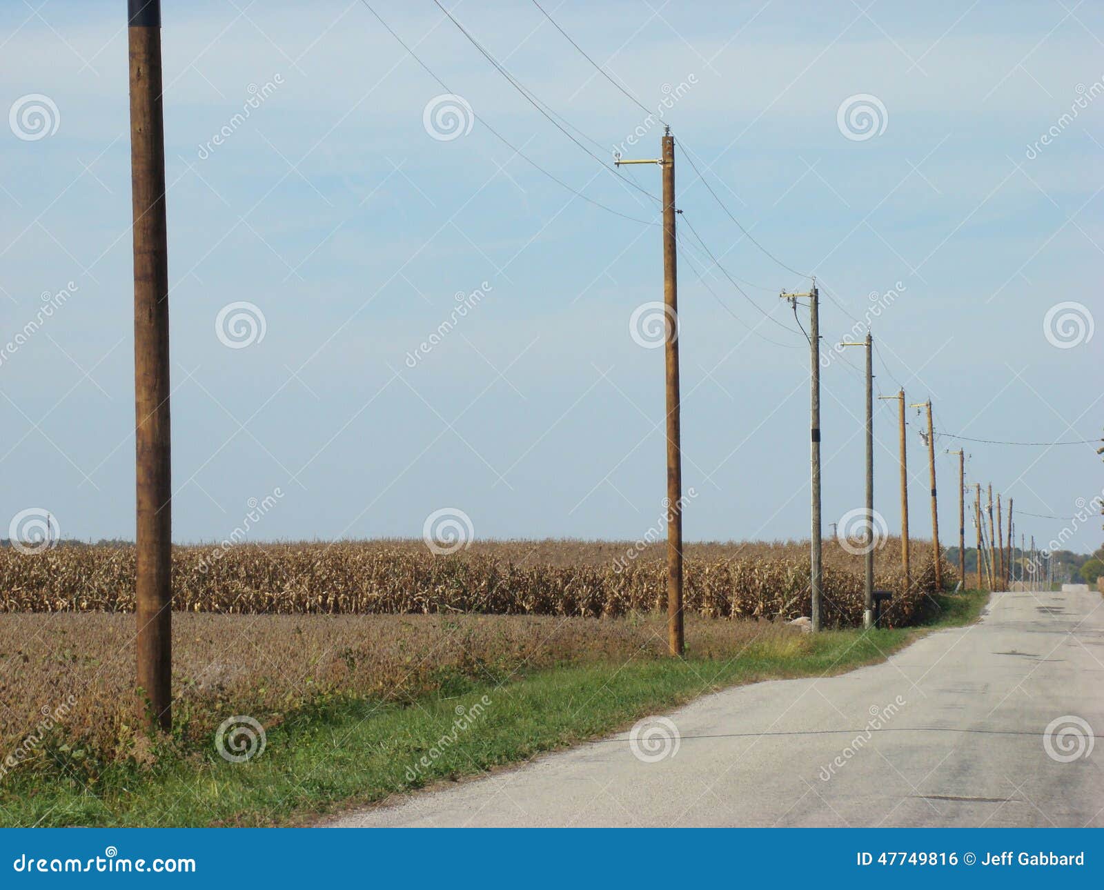 Power line poles in a row stock photo. Image of perspective - 47749816