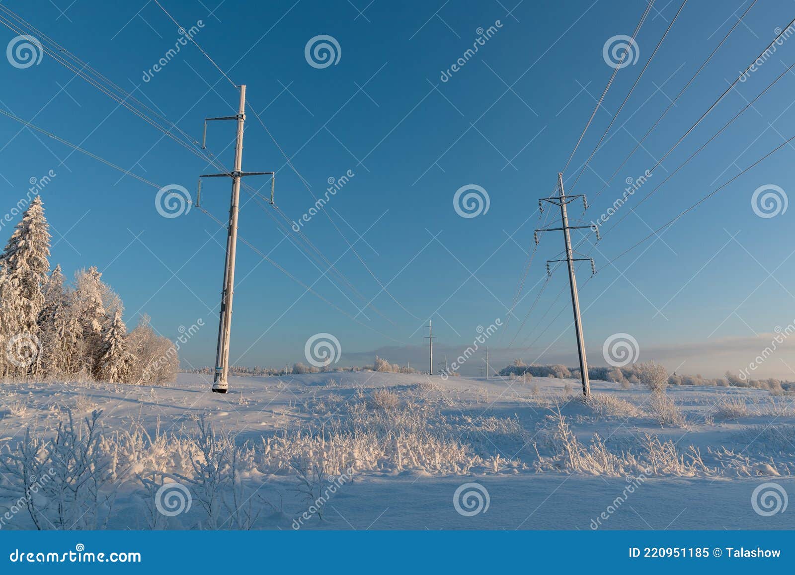Power line poles in winter stock image. Image of winter - 220951185