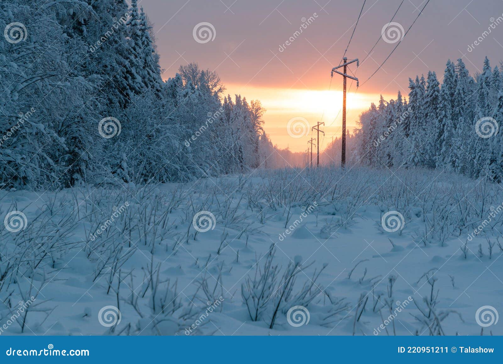 Power line poles in winter stock image. Image of snowy - 220951211