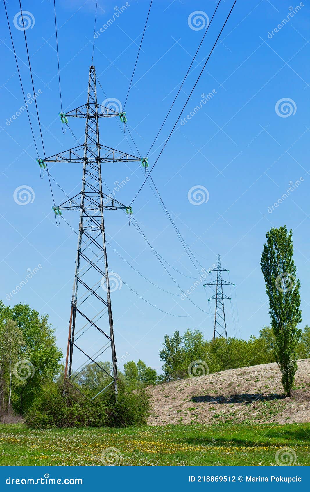 Power Line Pylons Surrounded with Greenery and Trees Stock Photo ...