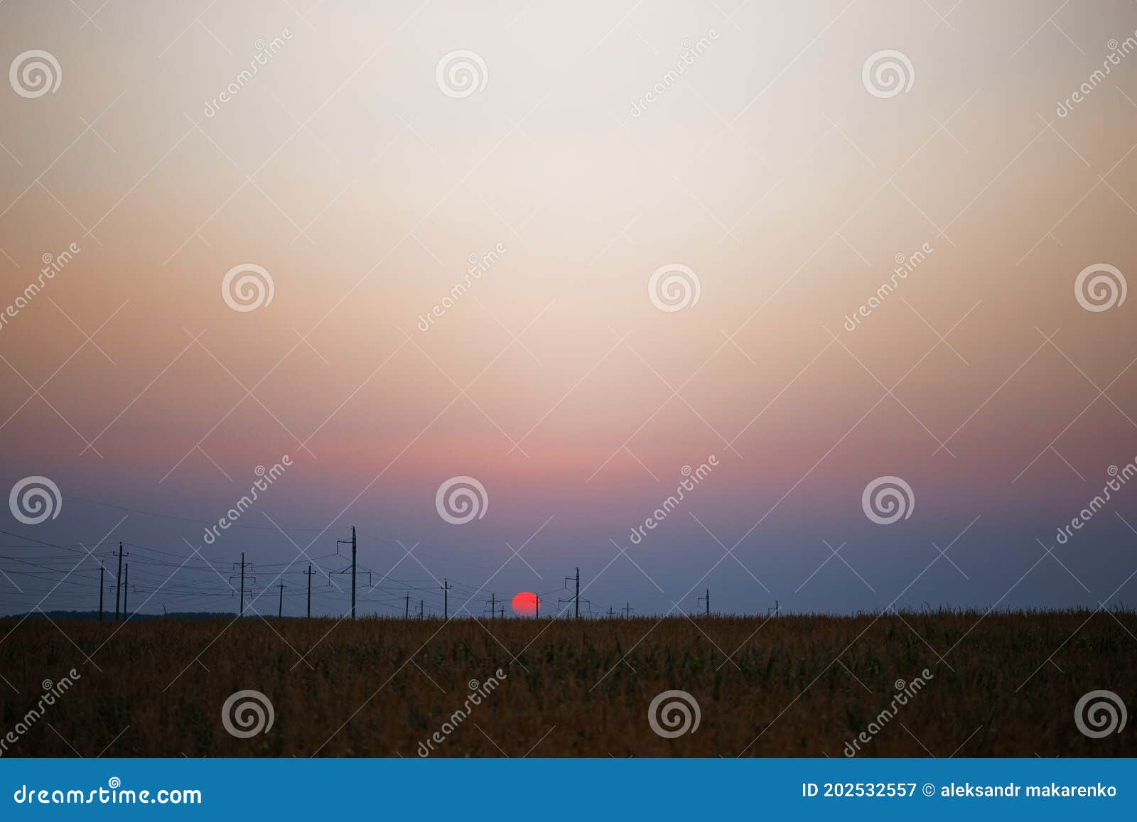 Power Line in the Rays of the Setting Sun Stock Image - Image of ...