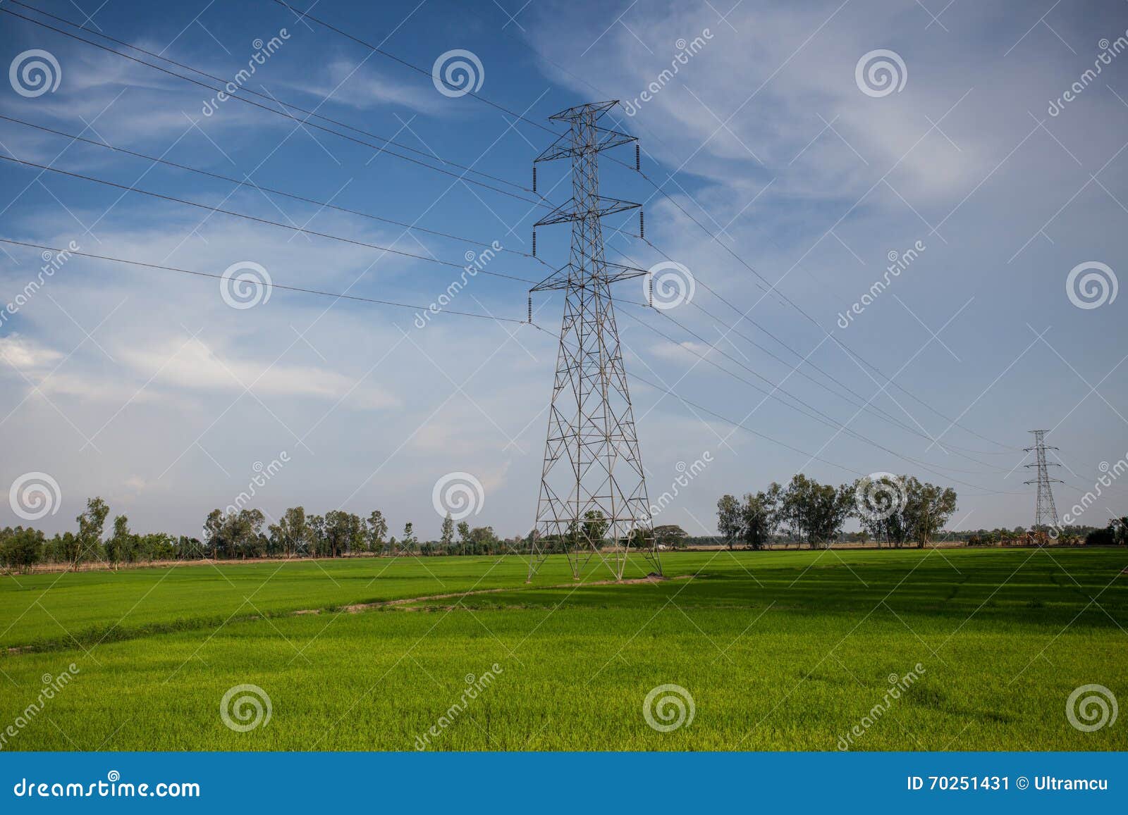 Power line on rice farm stock image. Image of green, electricity - 70251431