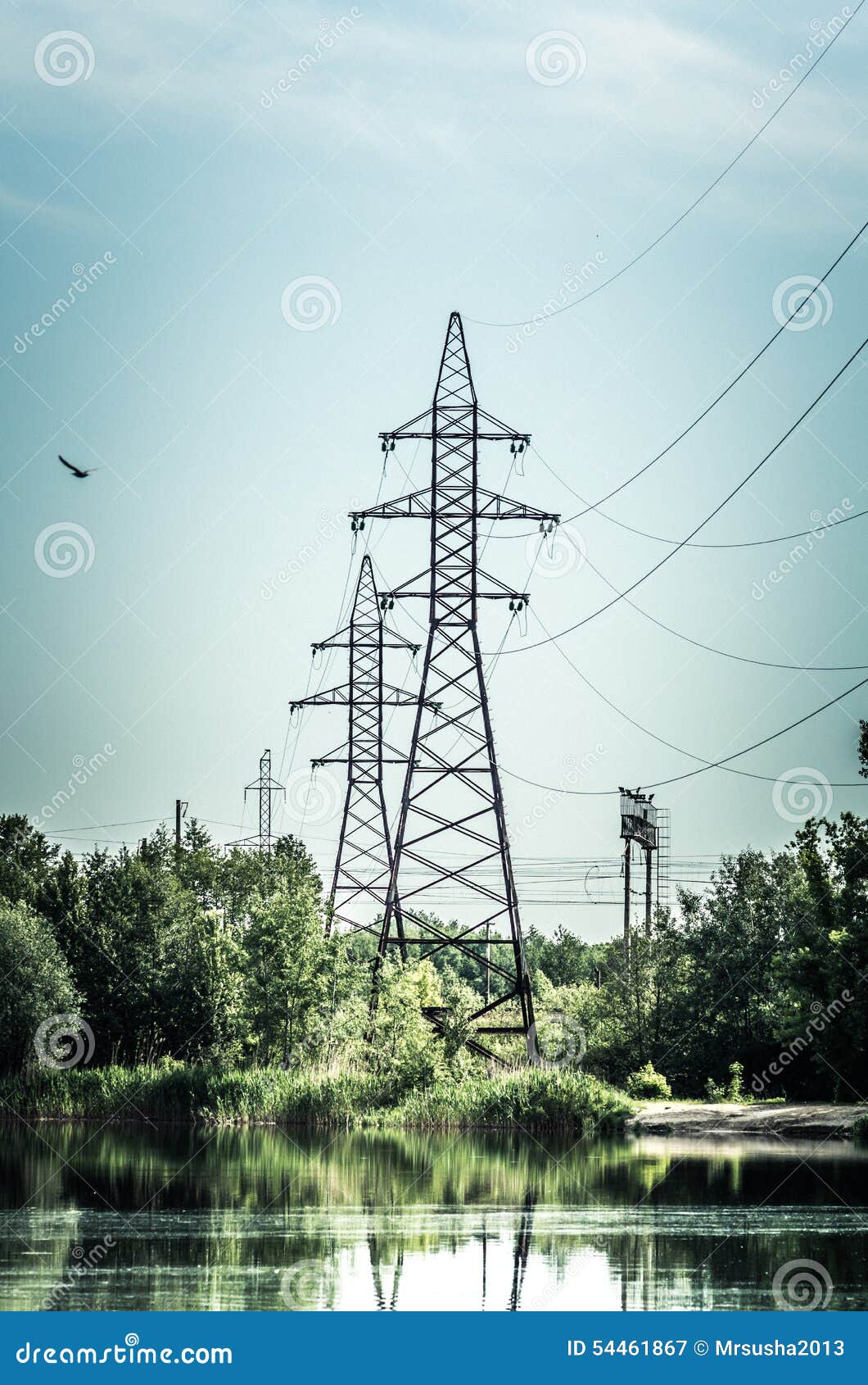 Power line stock image. Image of plant, high, horizon - 54461867