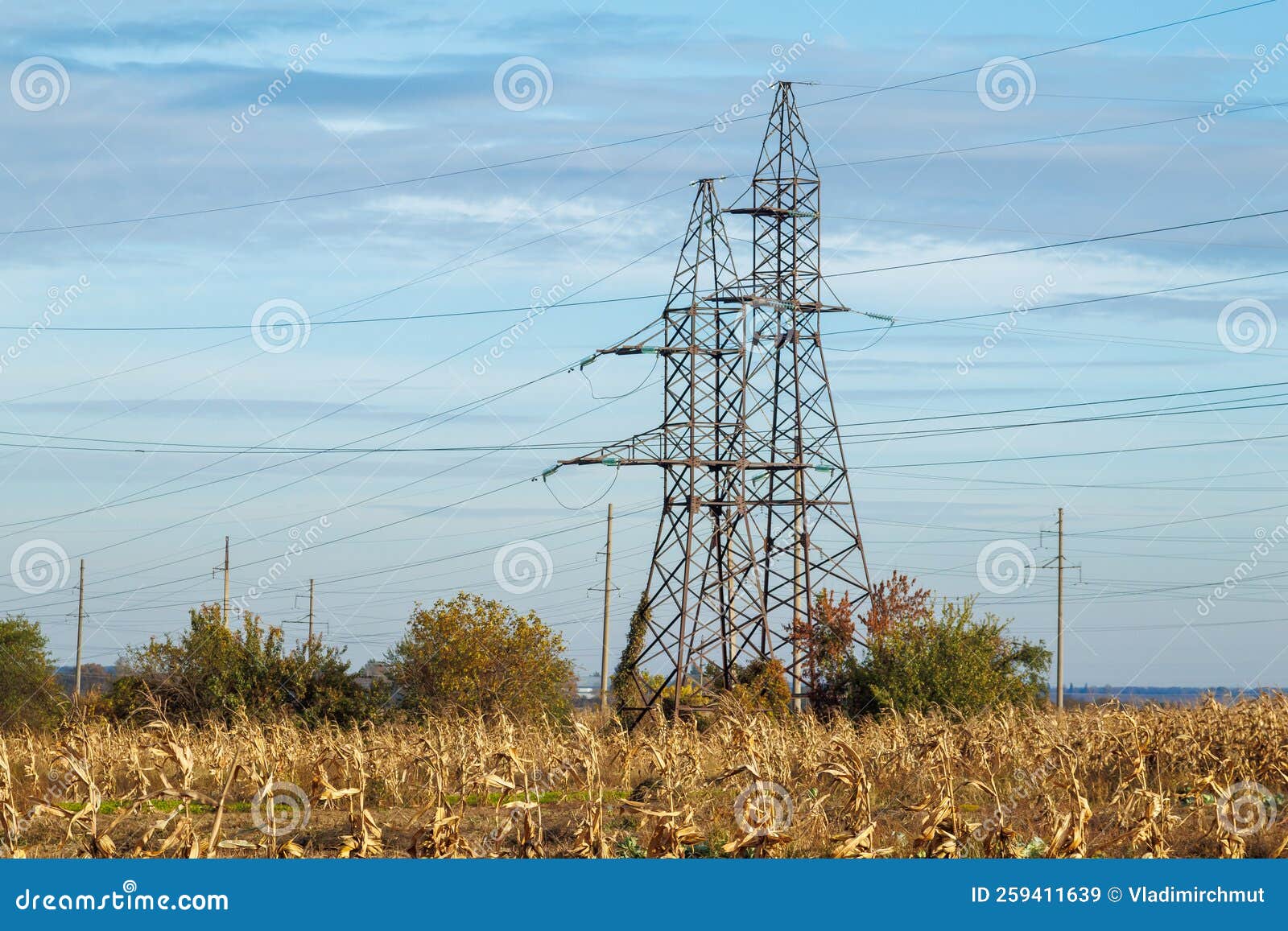 Power Line Supports in a Corn Field Against a Blue Sky with Clouds ...