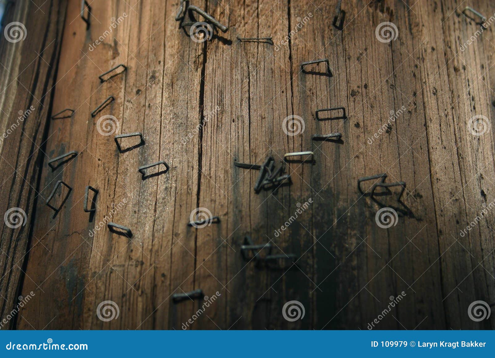Power Line Texture with Staples Stock Image - Image of pole, wood: 109979