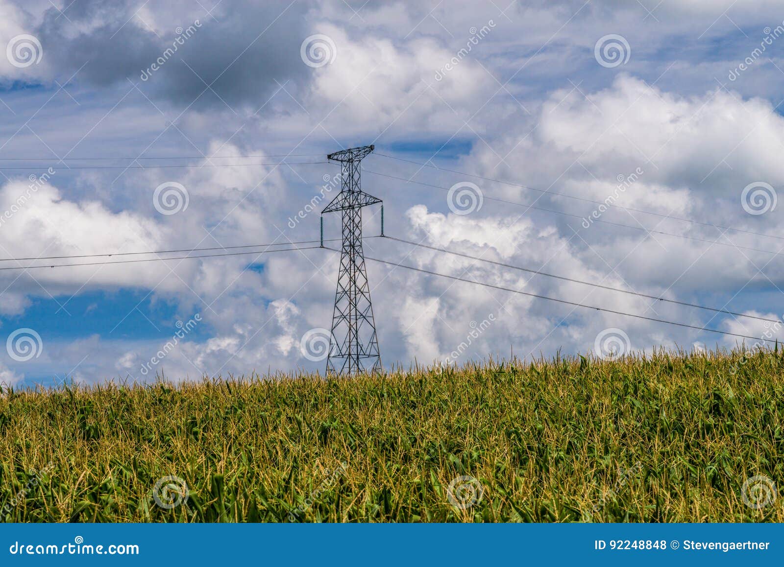 Power Line Tower, Corn Field, Minnesota Stock Photo - Image of energy ...