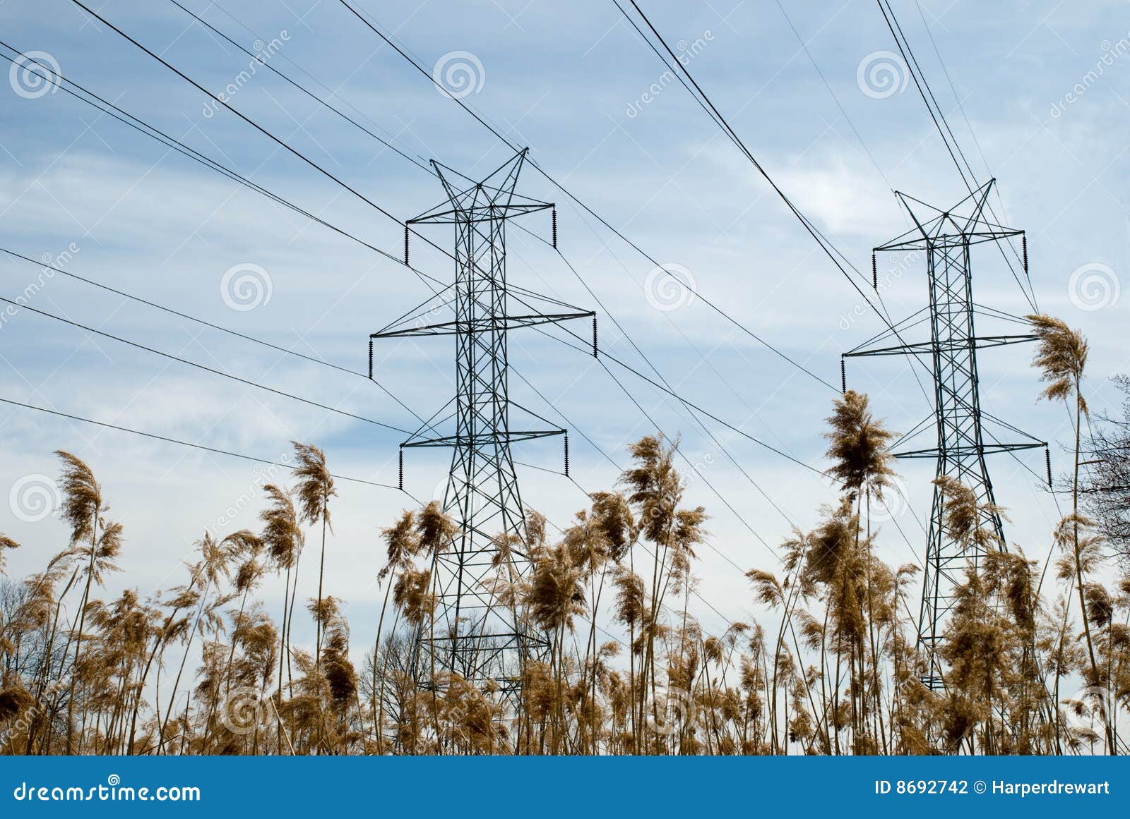 A Line-up Of The Towers Of The World`s Longest Cable Car. Royalty-Free ...