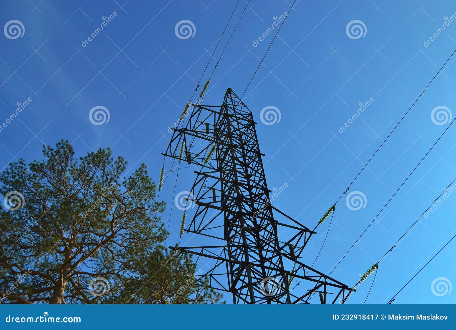 Power Line, Tree, Pine, High, Blue Sky Stock Image - Image of wire ...