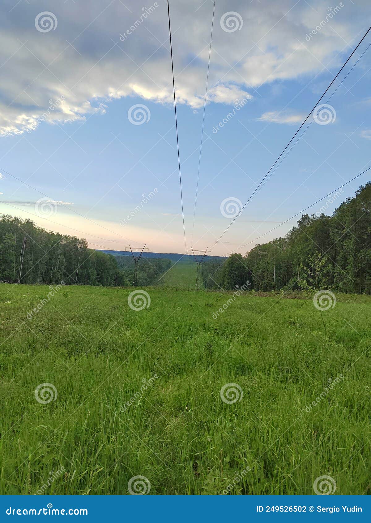 Power Line between Two Forests Goes into the Distance Stock Photo ...