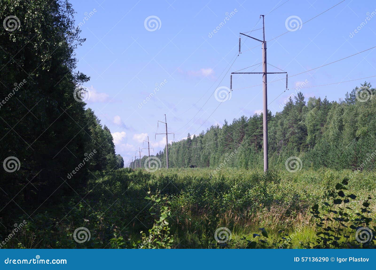 Power line, utility poles stock photo. Image of wires - 57136290