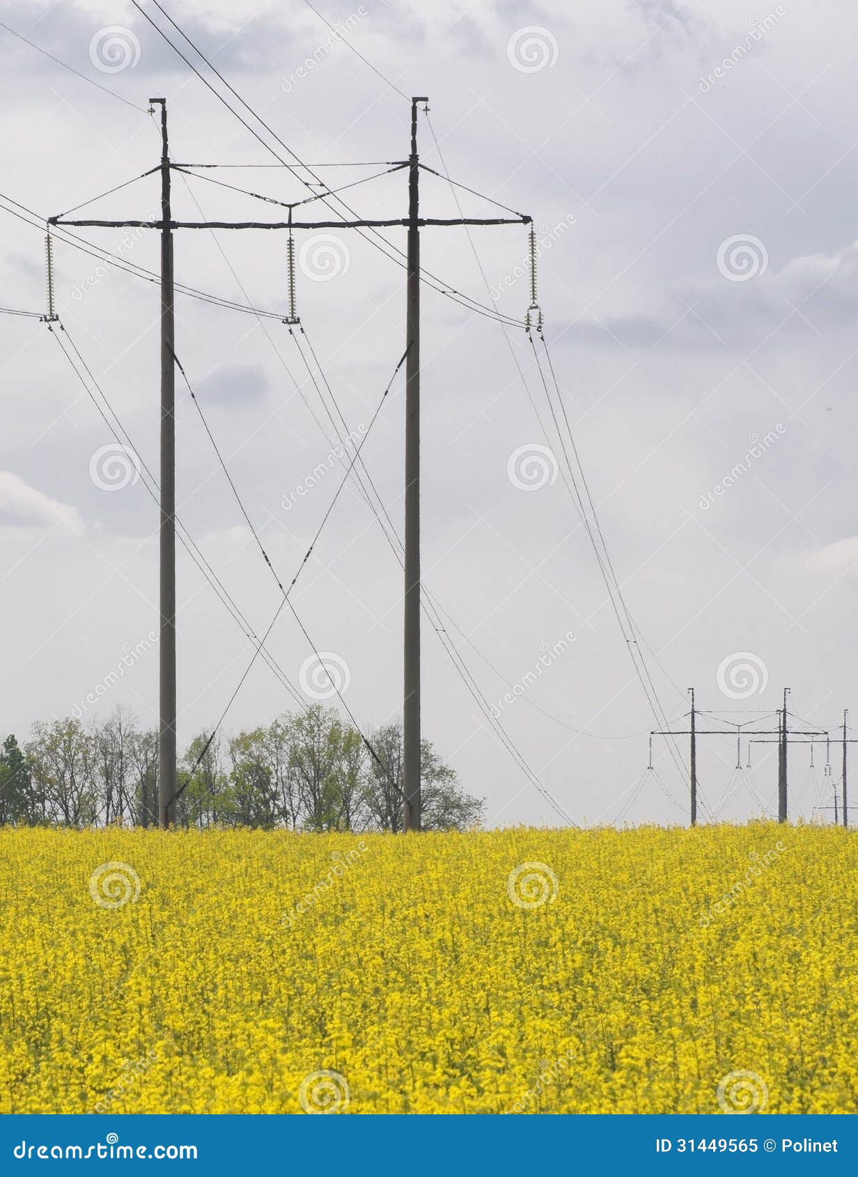 Power line stock image. Image of voltage, field, electricity - 31449565