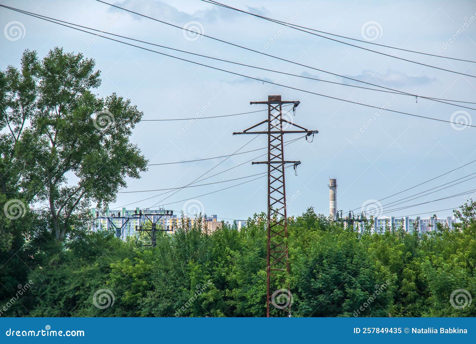 Power Lines on the Background of Green Foliage of Trees Stock Image ...