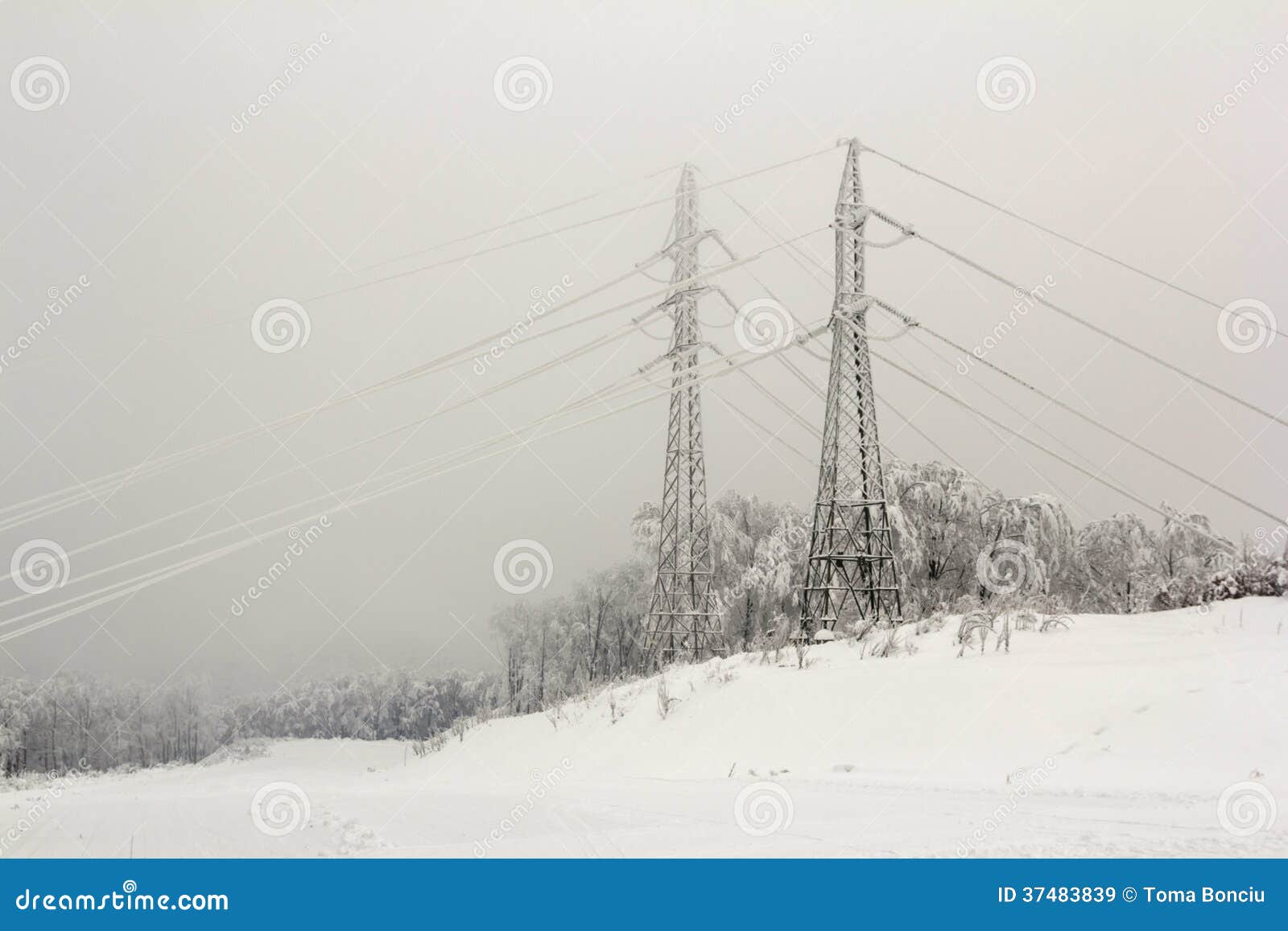 Power lines stock image. Image of scenics, electric, occupation - 37483839