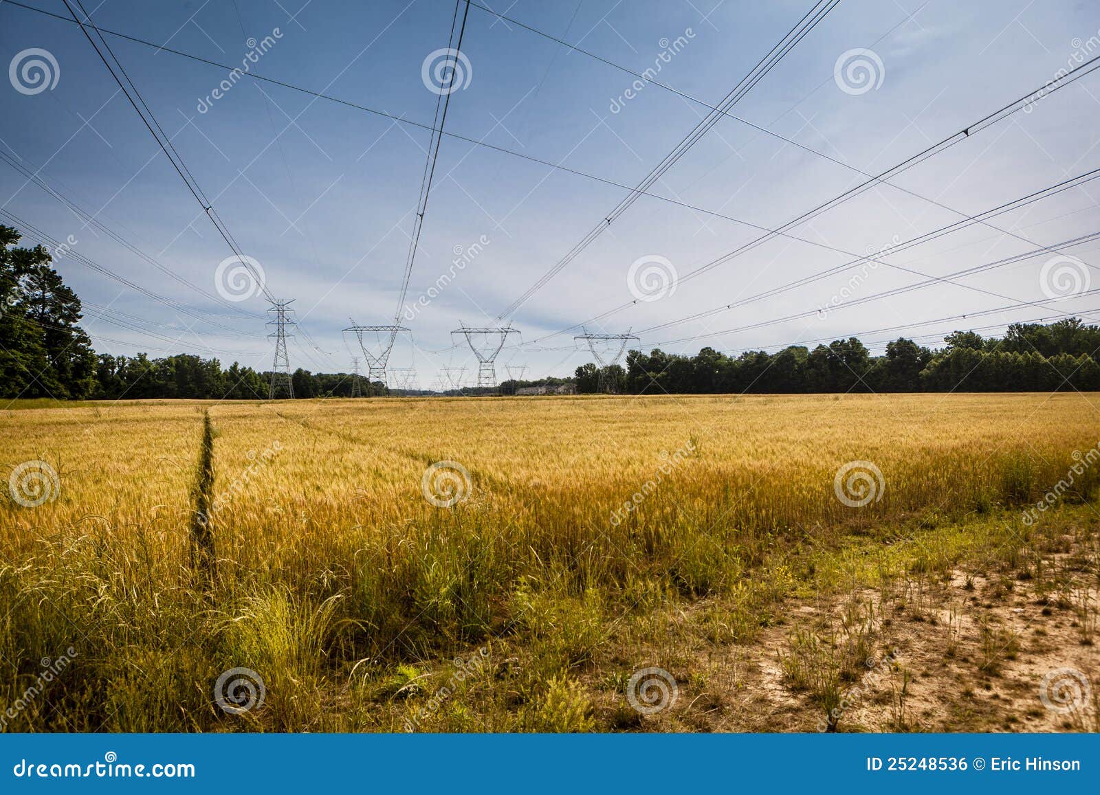 Power Lines & Field stock photo. Image of open, color - 25248536