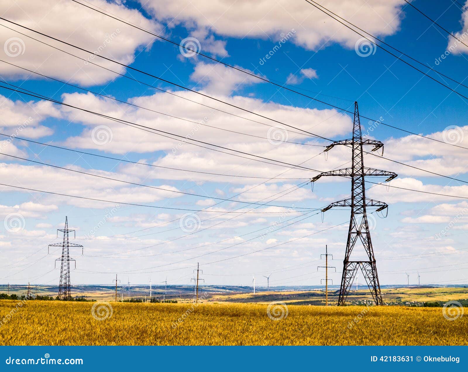 Power lines in the field stock image. Image of yellow - 42183631