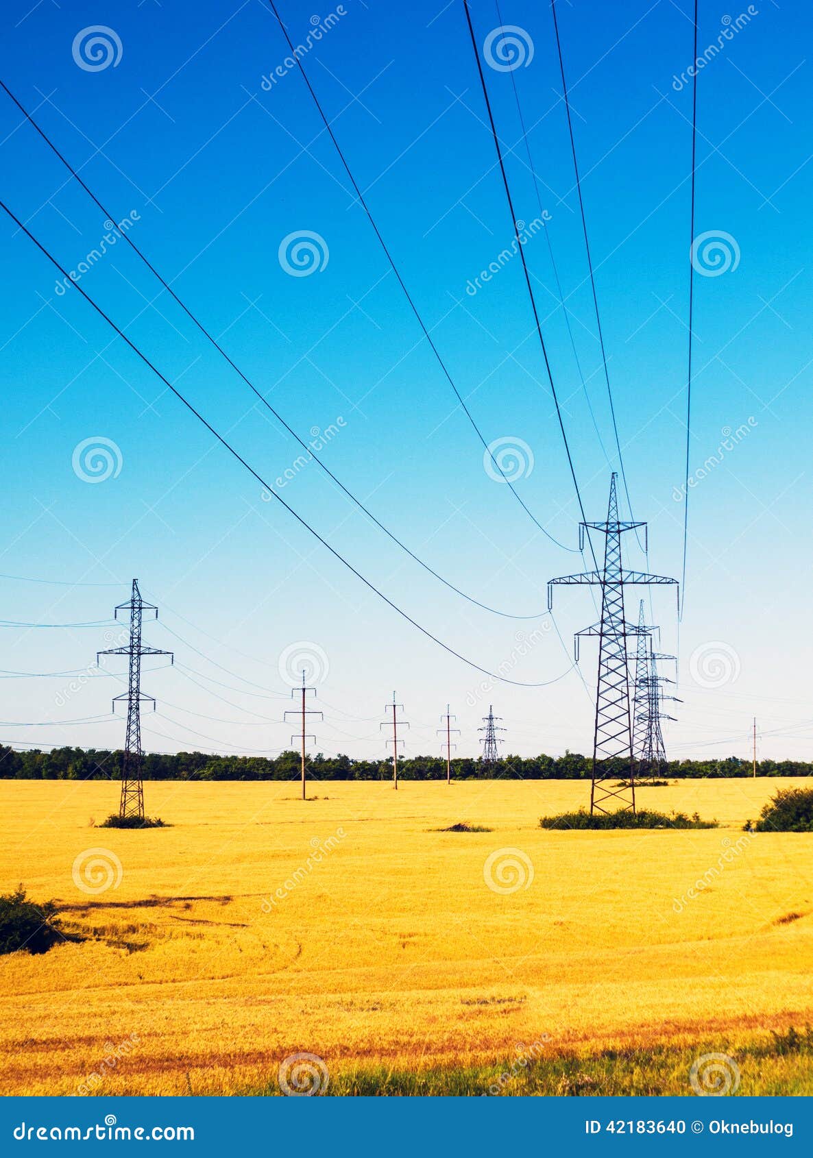 Power lines in the field stock photo. Image of field - 42183640
