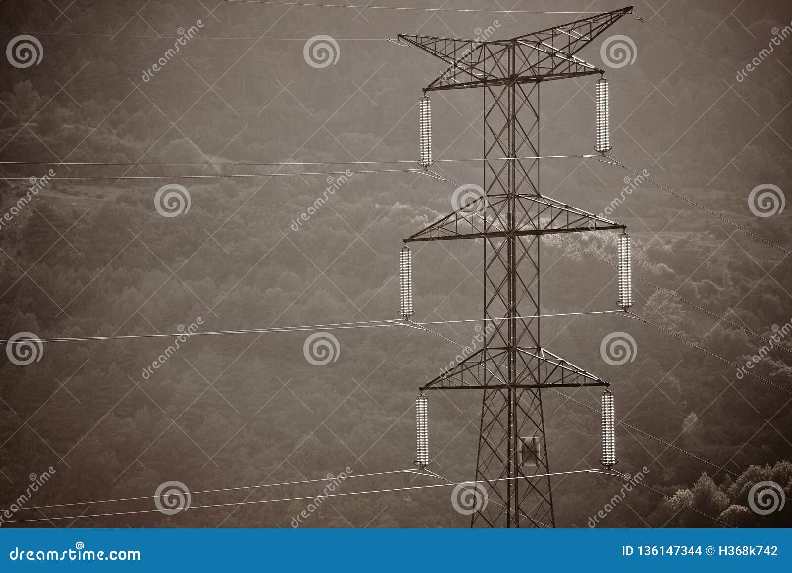 Power Lines with Forest Background at Dawn. Renewable Energy Stock ...