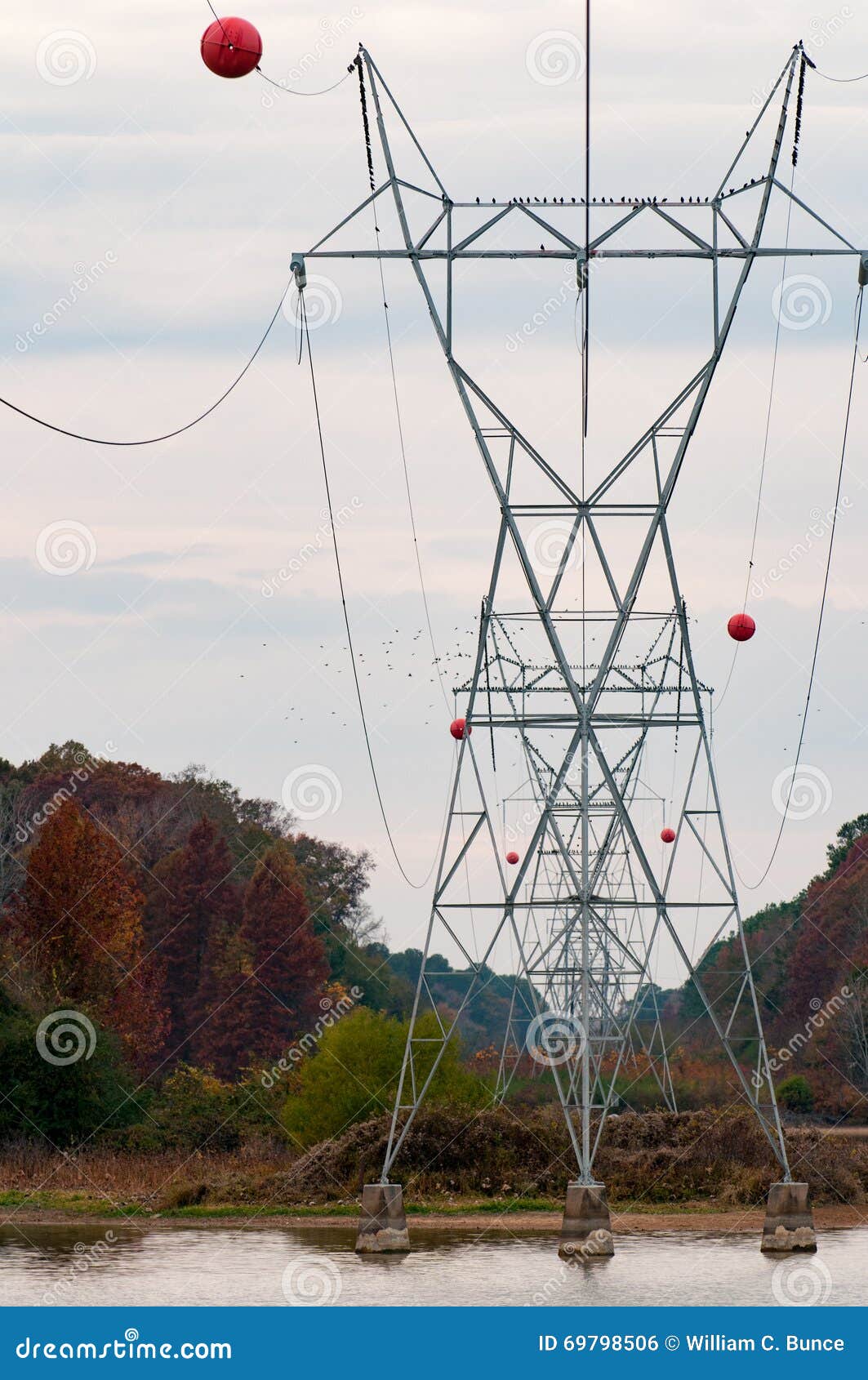 Power lines stock photo. Image of pole, environment, electric - 69798506