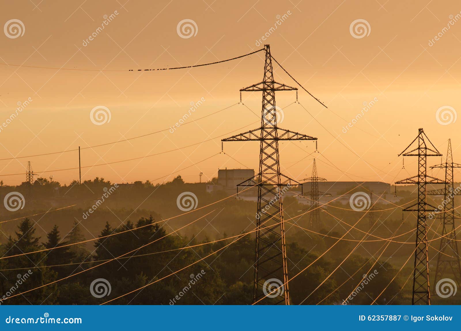Power Lines Illuminated by the Setting Sun Stock Image - Image of ...