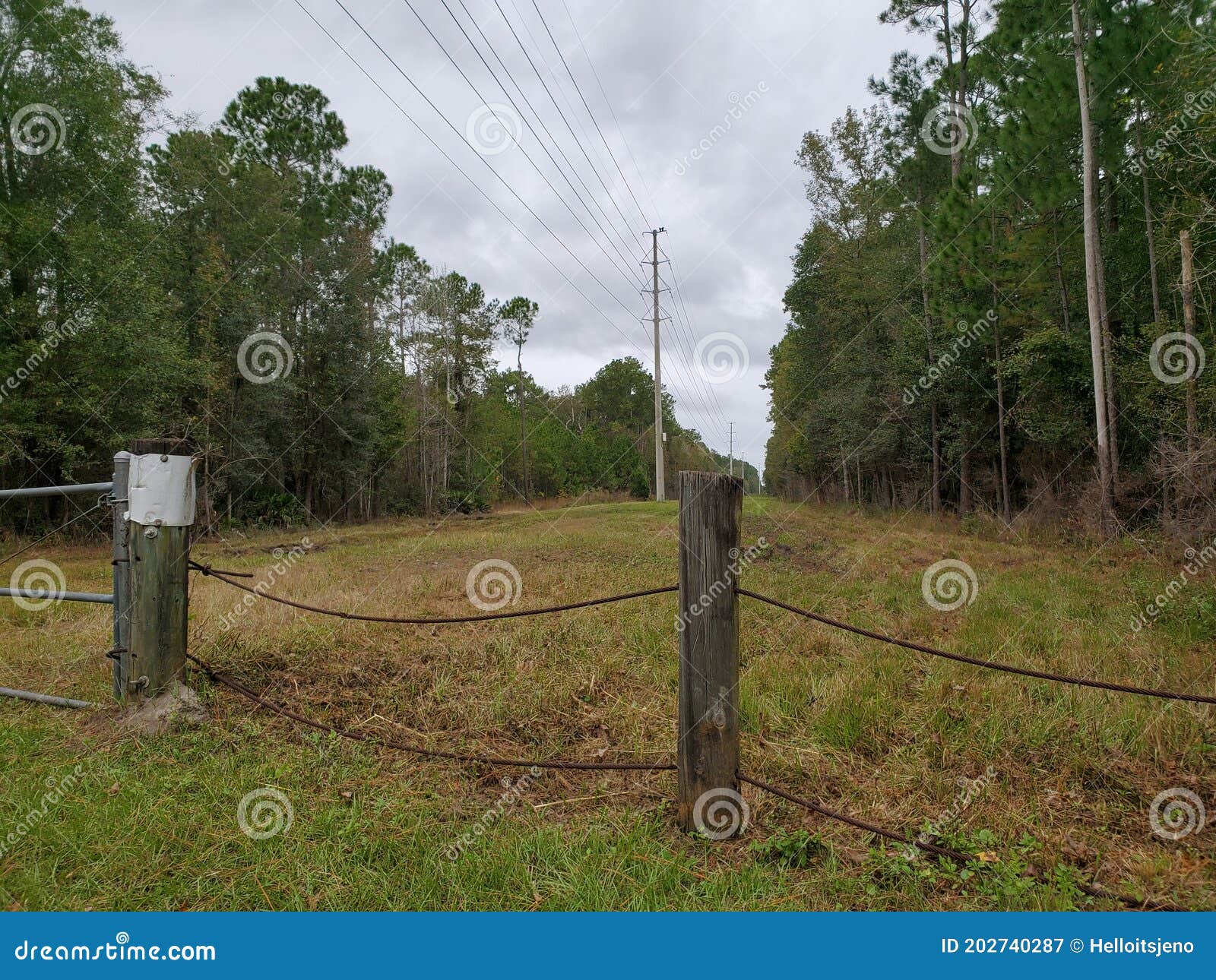 Power lines over a field stock image. Image of swamp - 202740287