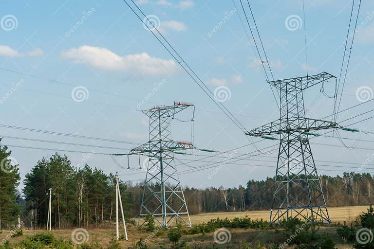 Power Lines Running through the Forest. the Support of an Overhead ...