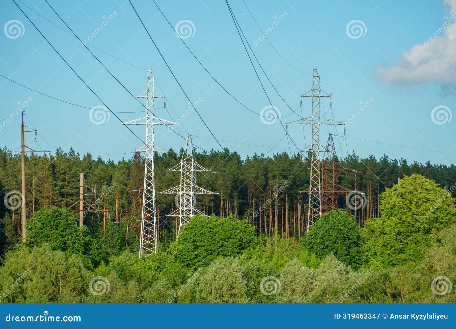 Power Lines Running through the Forest. the Support of an Overhead ...