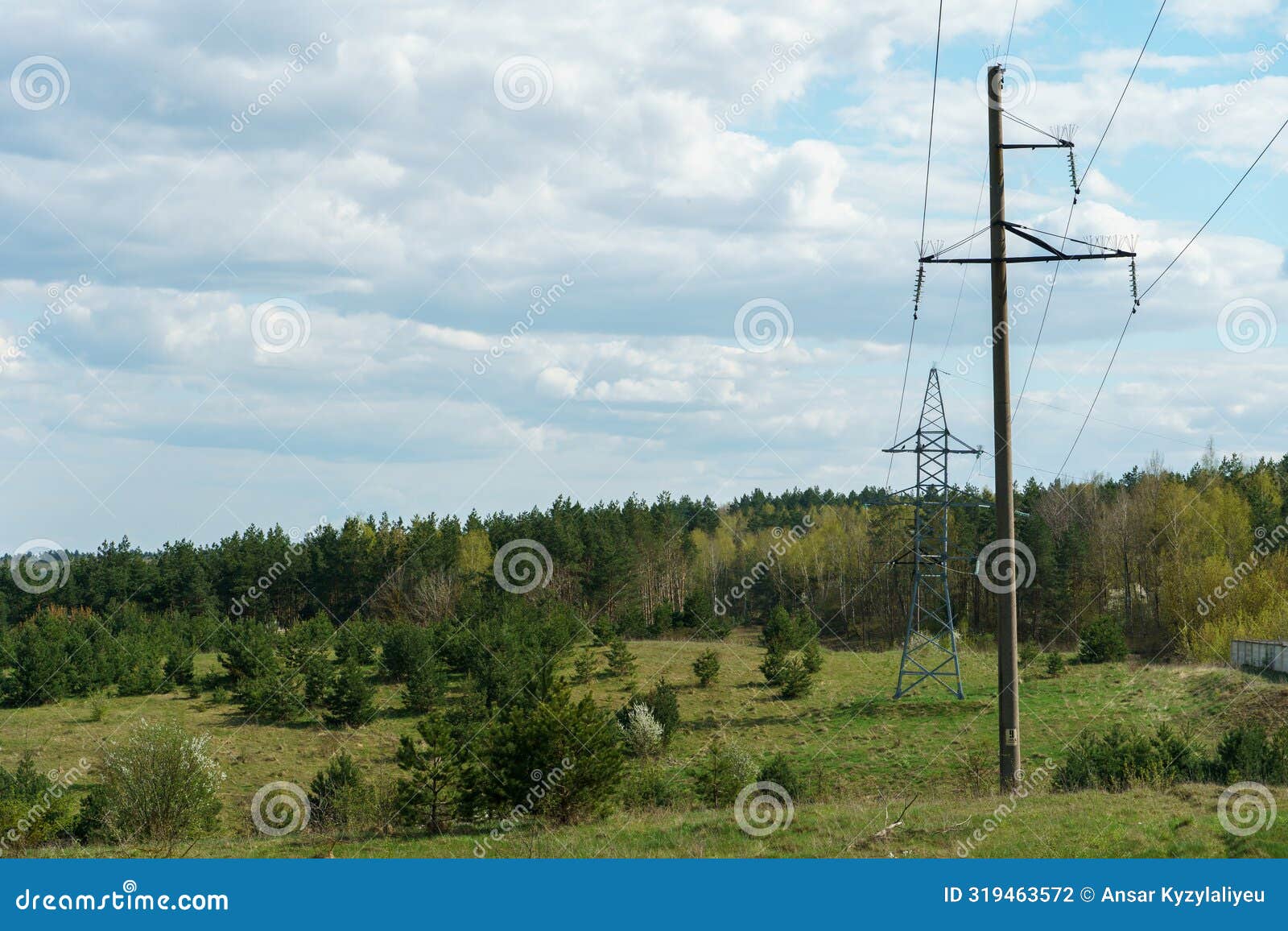 Power Lines Running through the Forest. the Support of an Overhead ...