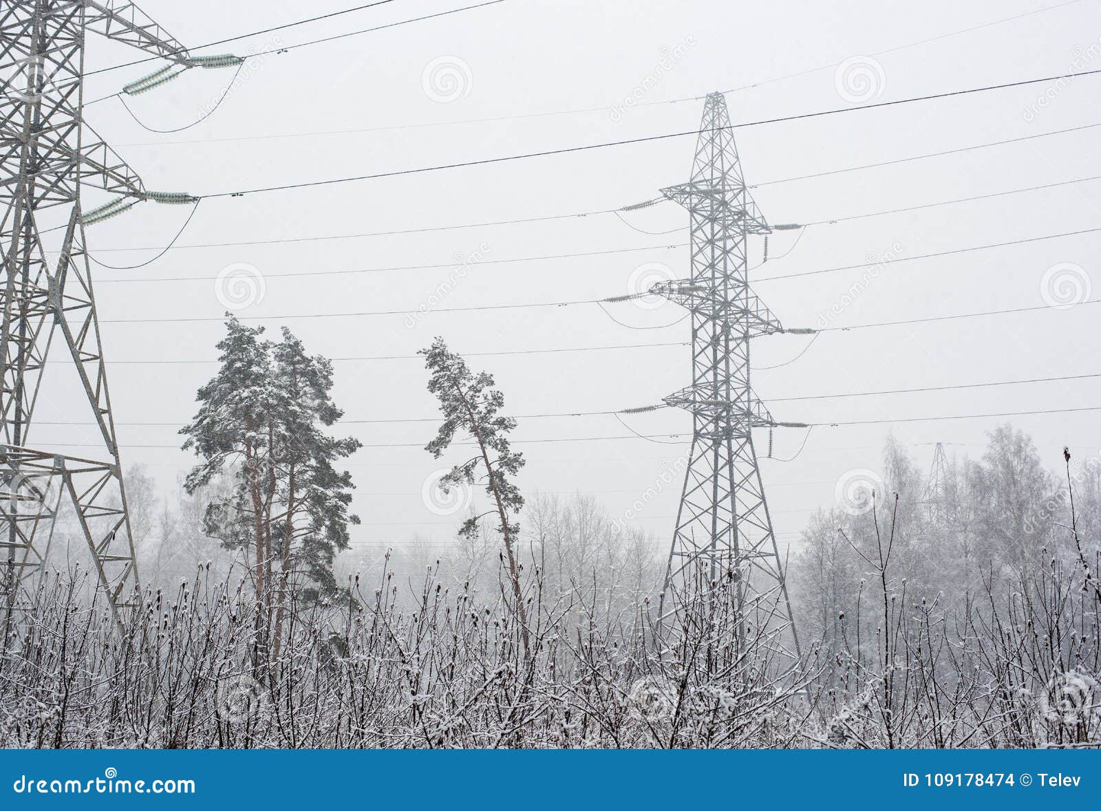 Power lines in the snow stock photo. Image of nowfall - 109178474