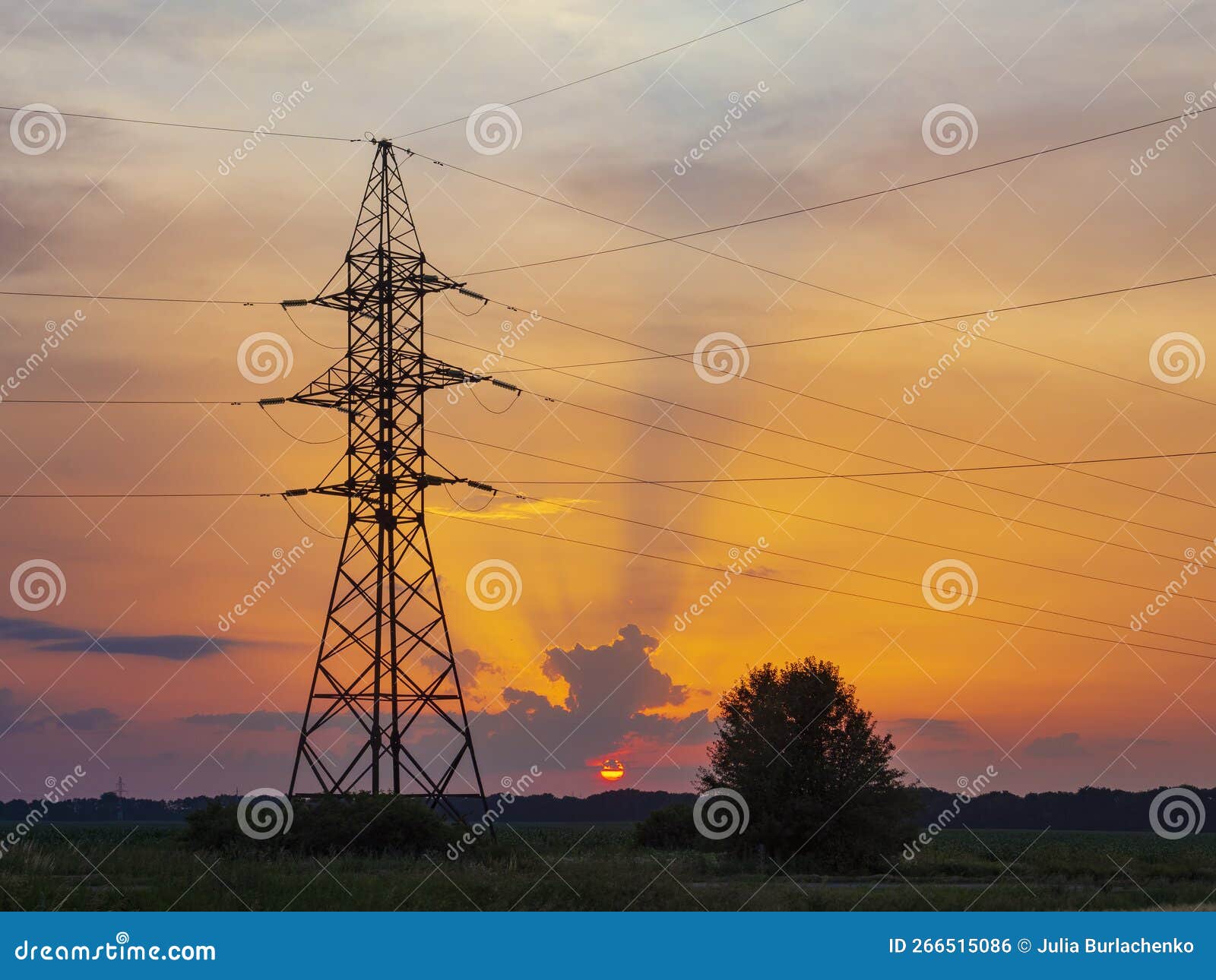 Power lines at the sunset stock photo. Image of engineering - 266515086