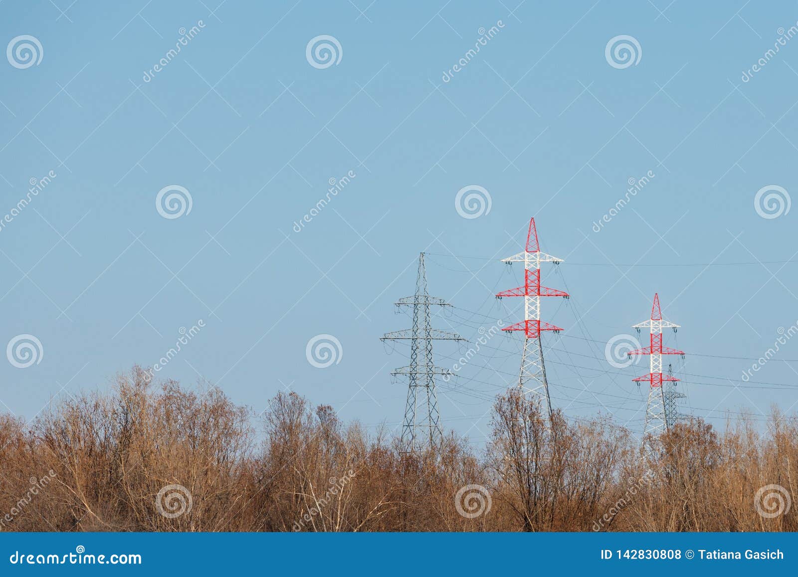 Power lines behind a trees stock photo. Image of nature - 142830808