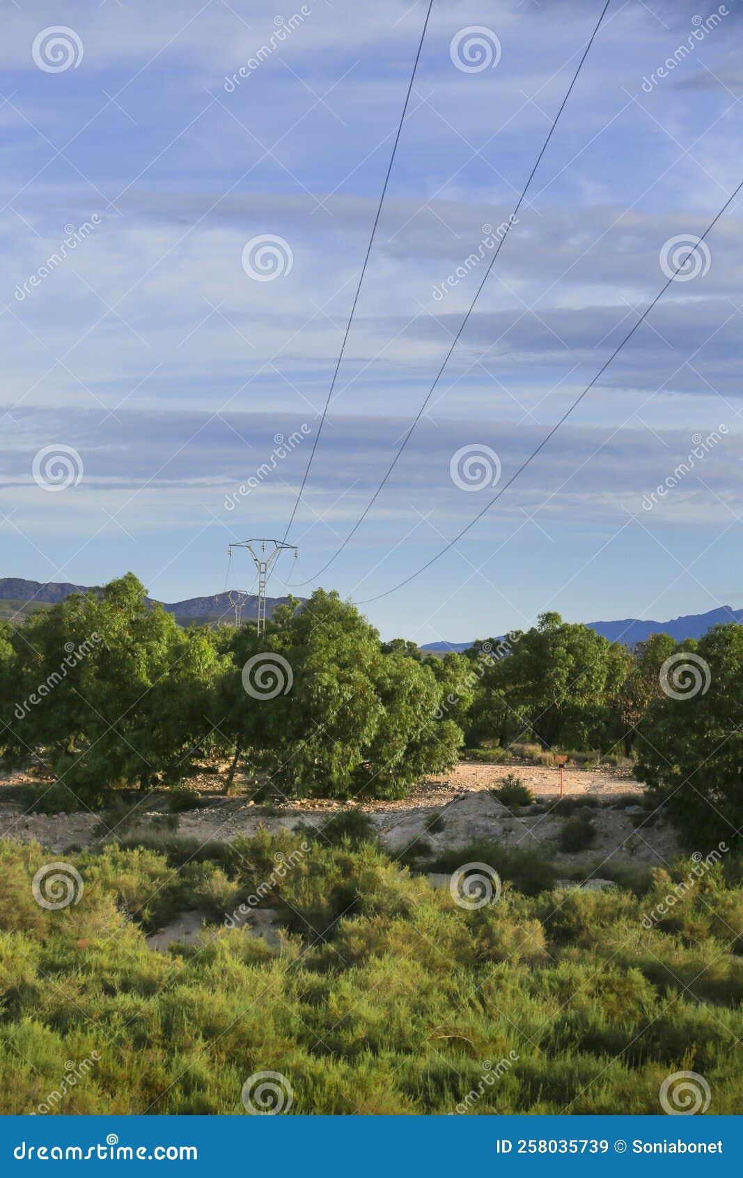 Power Lines Tower Under Blue Sky in the Countryside Stock Image - Image ...