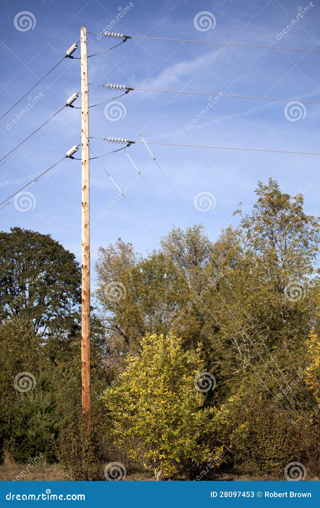Power Lines, Trees, and Blue Sky Stock Image - Image of telephone, fall ...