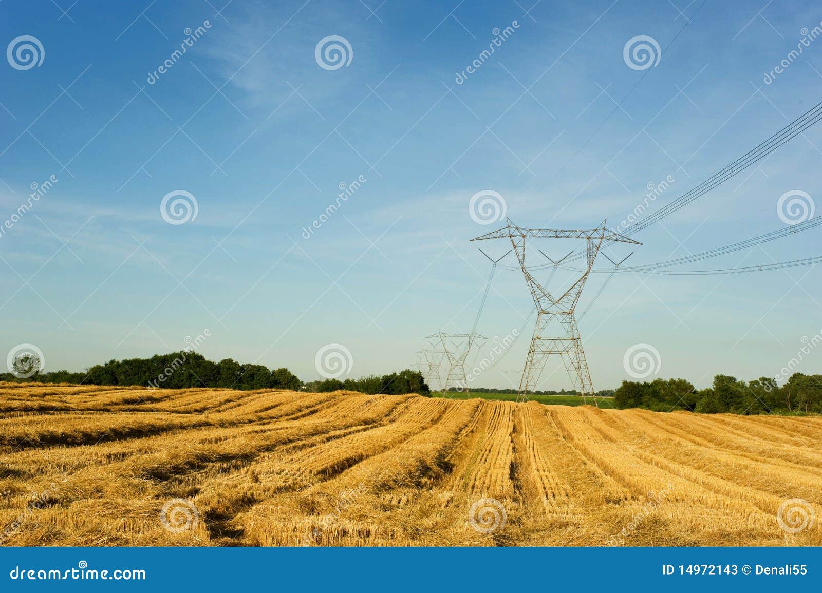 Power Lines through Wheat Field Stock Image - Image of tower, wires ...