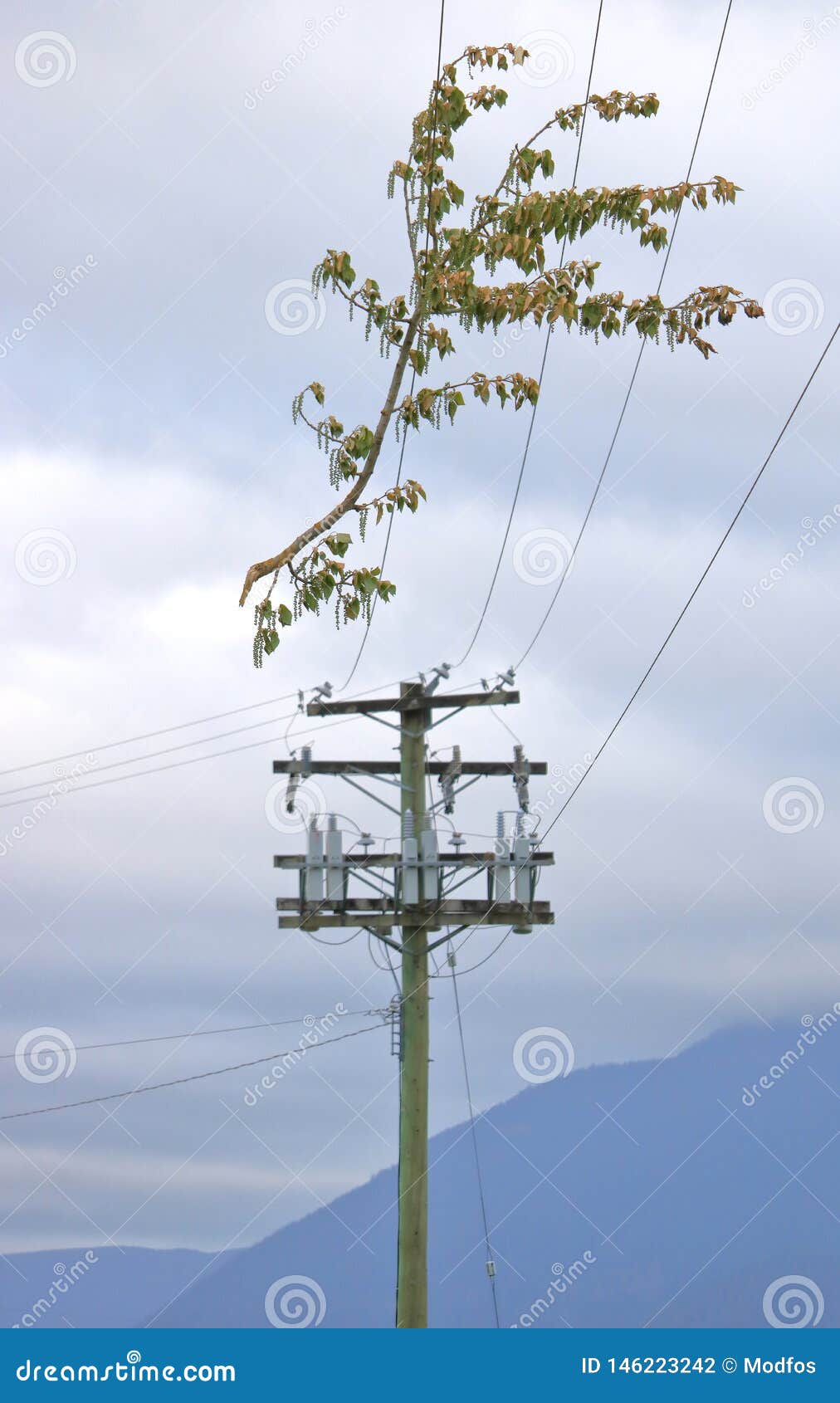 Power Lines and Wind Storm Damage Stock Photo - Image of dangling ...