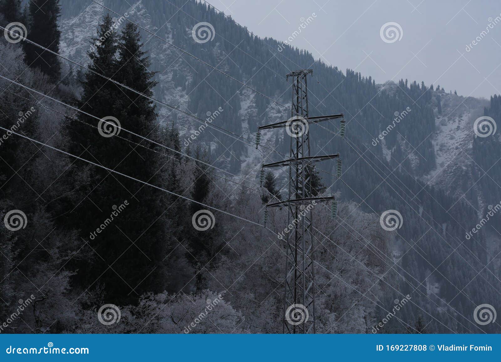 Power lines in the winter. stock photo. Image of frost - 169227808