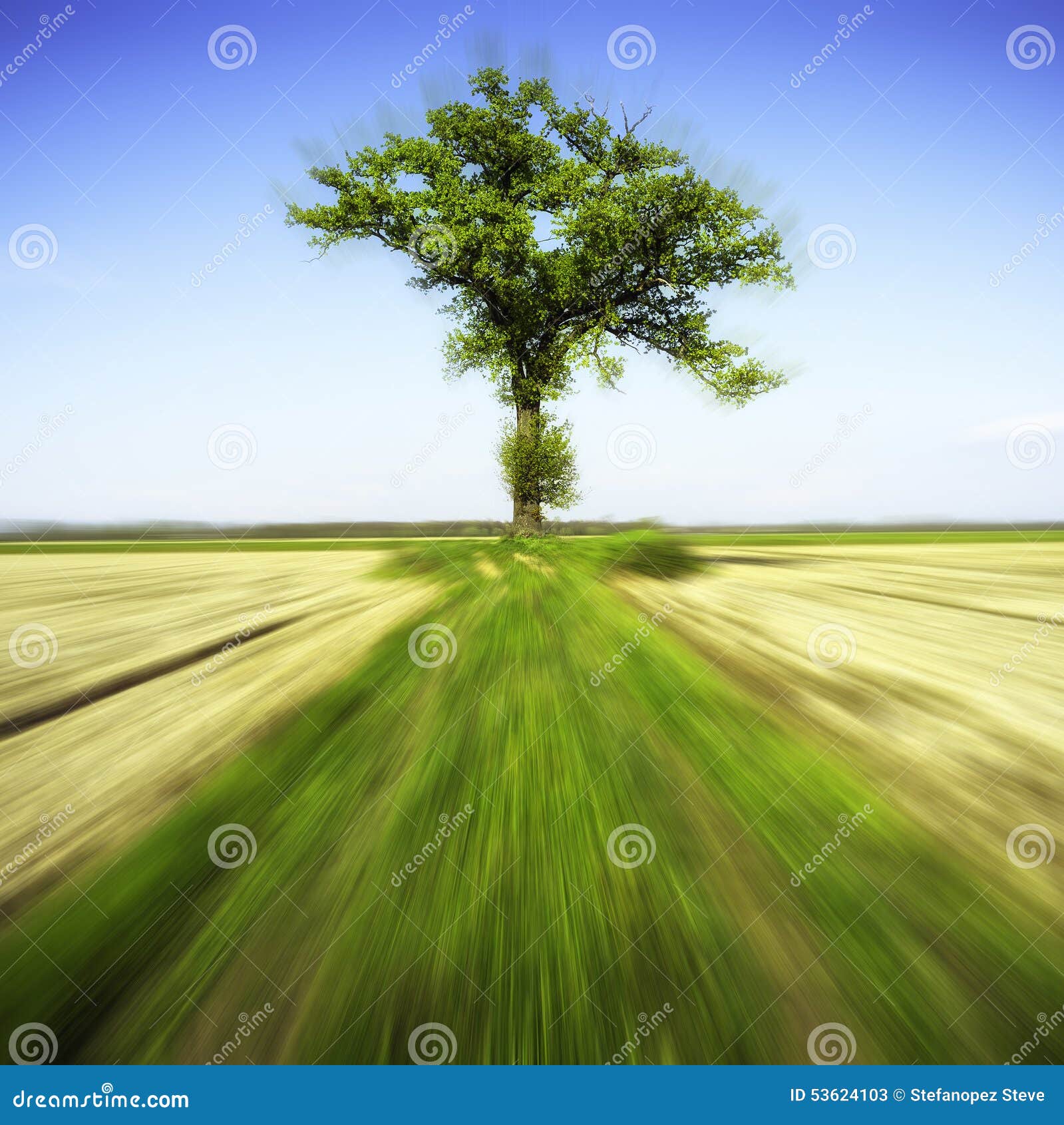 Power of the Nature. Color Image Stock Image - Image of beautiful ...