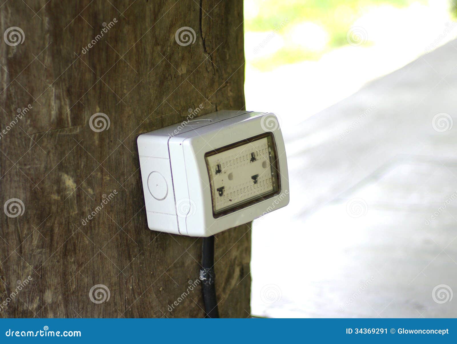 Power Outlet Plug on the Tree Trunk Stock Image - Image of light ...